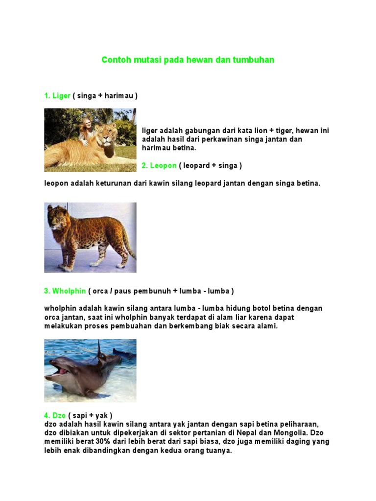 Contoh Mutasi Hewan dan Tumbuhan | PDF | Dewasa Muda