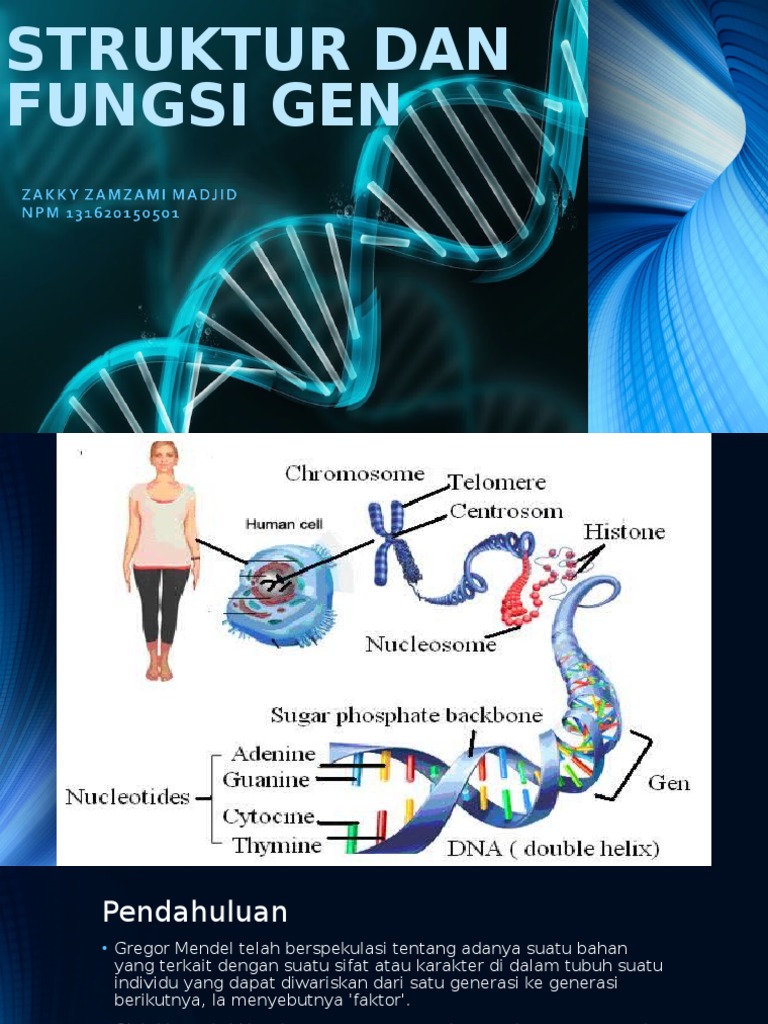 Struktur Dan Fungsi Gen | PDF