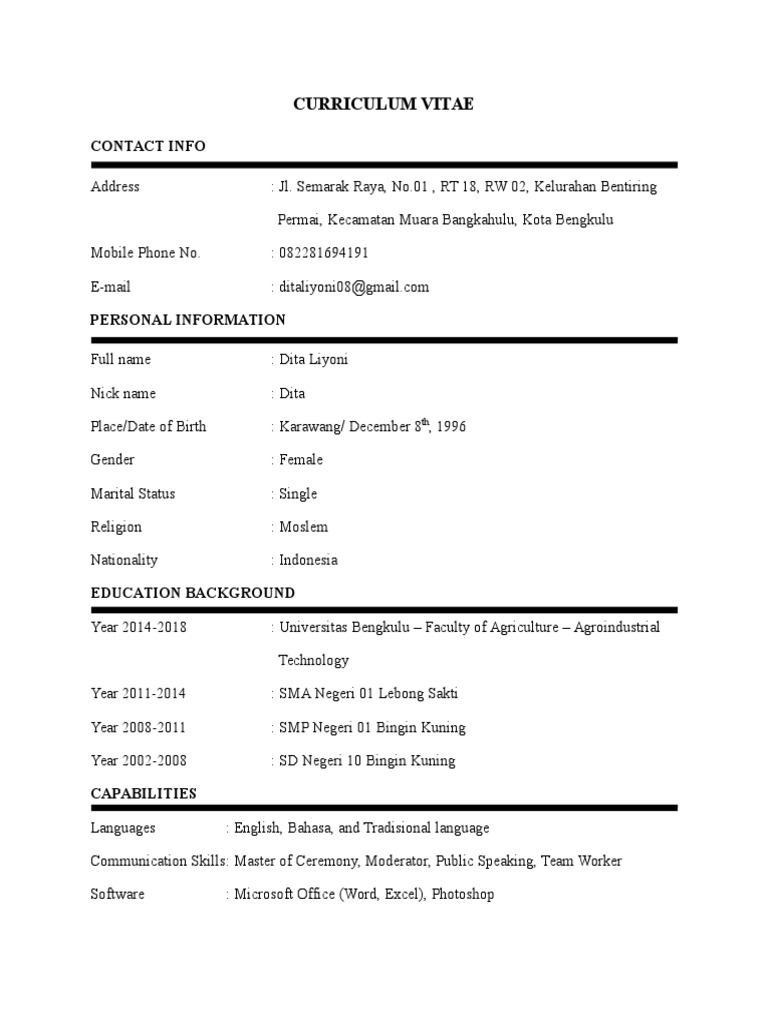 Curriculum Vitae | PDF | Communication | Computing And Information Technology
