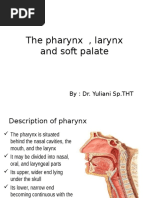 The Tonsils (Waldeyer's Ring) - Lingual - Pharyngeal - Palatine - Tubal ...