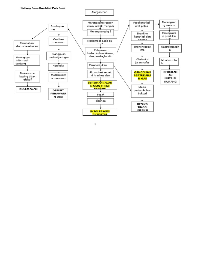 Pathway Asma Bronkhial Anak | PDF