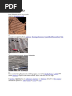 Italy Cover Letter Sample | PDF | Academic Degree | Bachelor's Degree