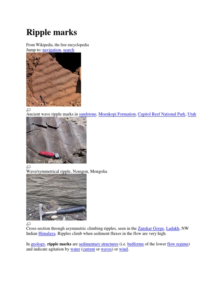 Ripple Marks | PDF | Earth Sciences | Sedimentology
