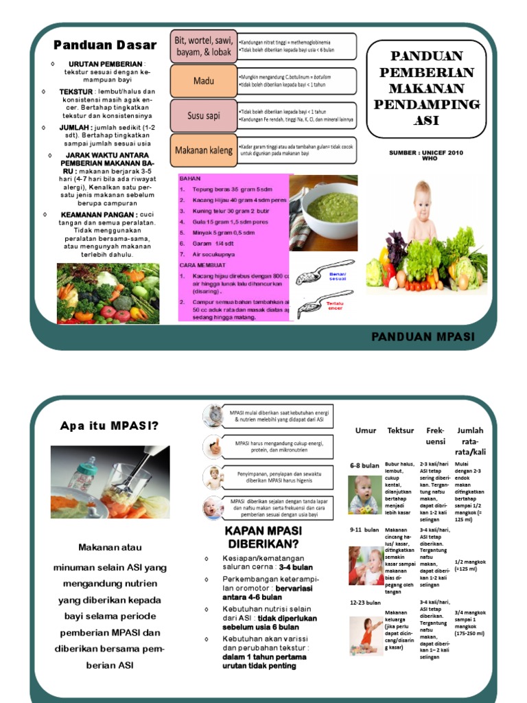 Leaflet MPASI | PDF