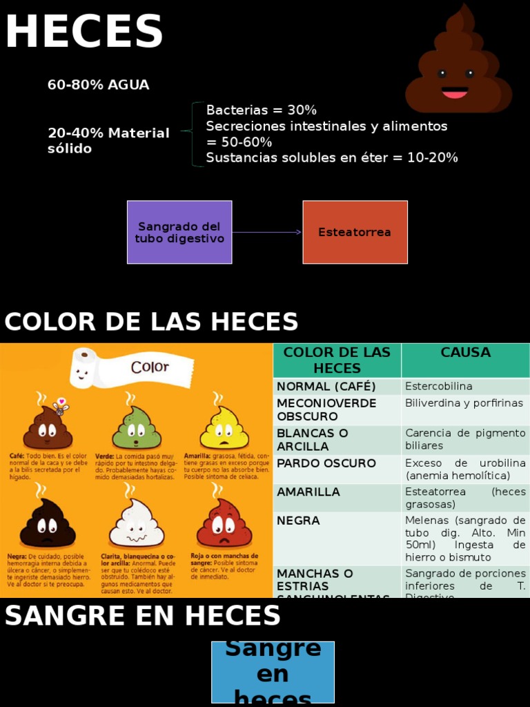 Color y Aspecto de las Heces | PDF | Heces | Fluidos corporales