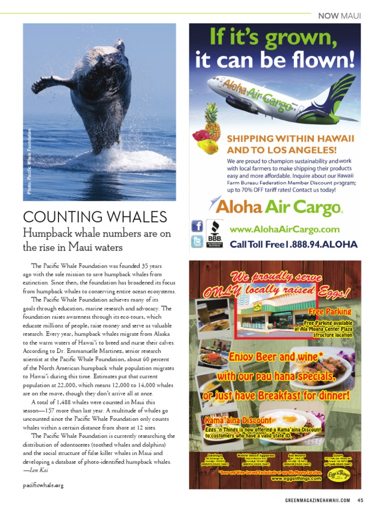 Counting Whales | PDF