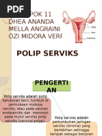 PPK Pua-P (Polip) | PDF