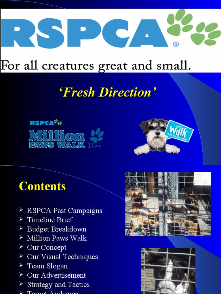 Team Awesome's RSPCA Project Pitch | PDF | Advertising | Communication