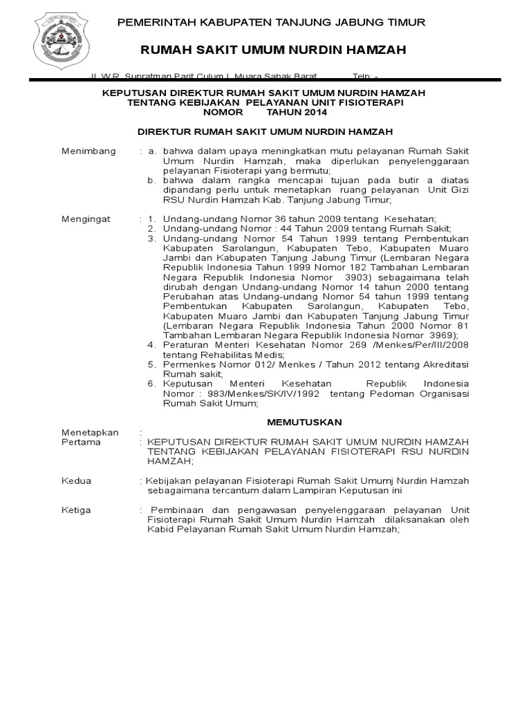 SK Kebijakan Fisioterapi | PDF