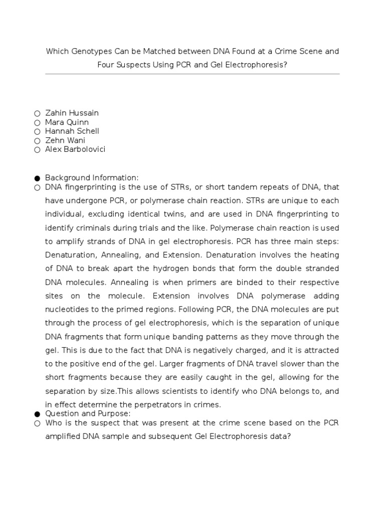 Gel Electrophoresis and PCR Lab | PDF | Gel Electrophoresis ...