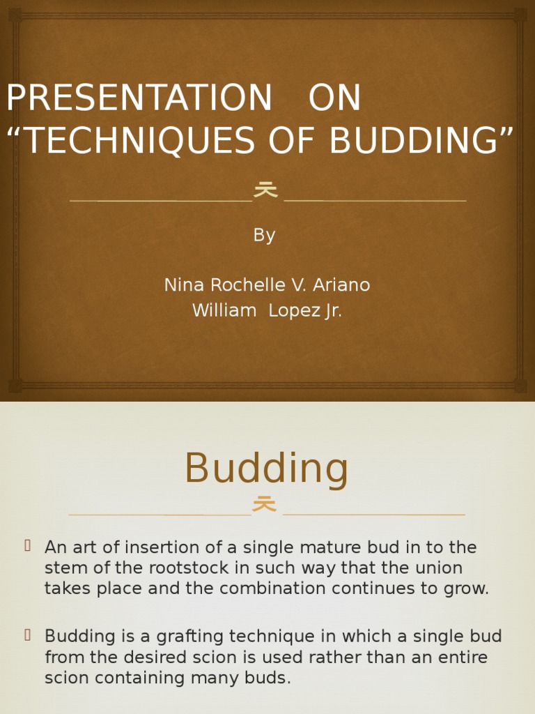 Types and Techniques of Budding | Grafting | Agriculture