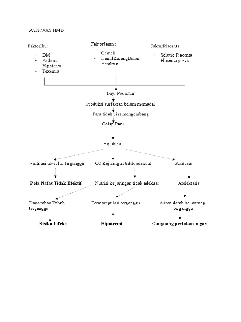 Pathway HMD pada Bayi Prematur | PDF