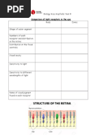 Short vs Long Sightedness Diagrams | PDF