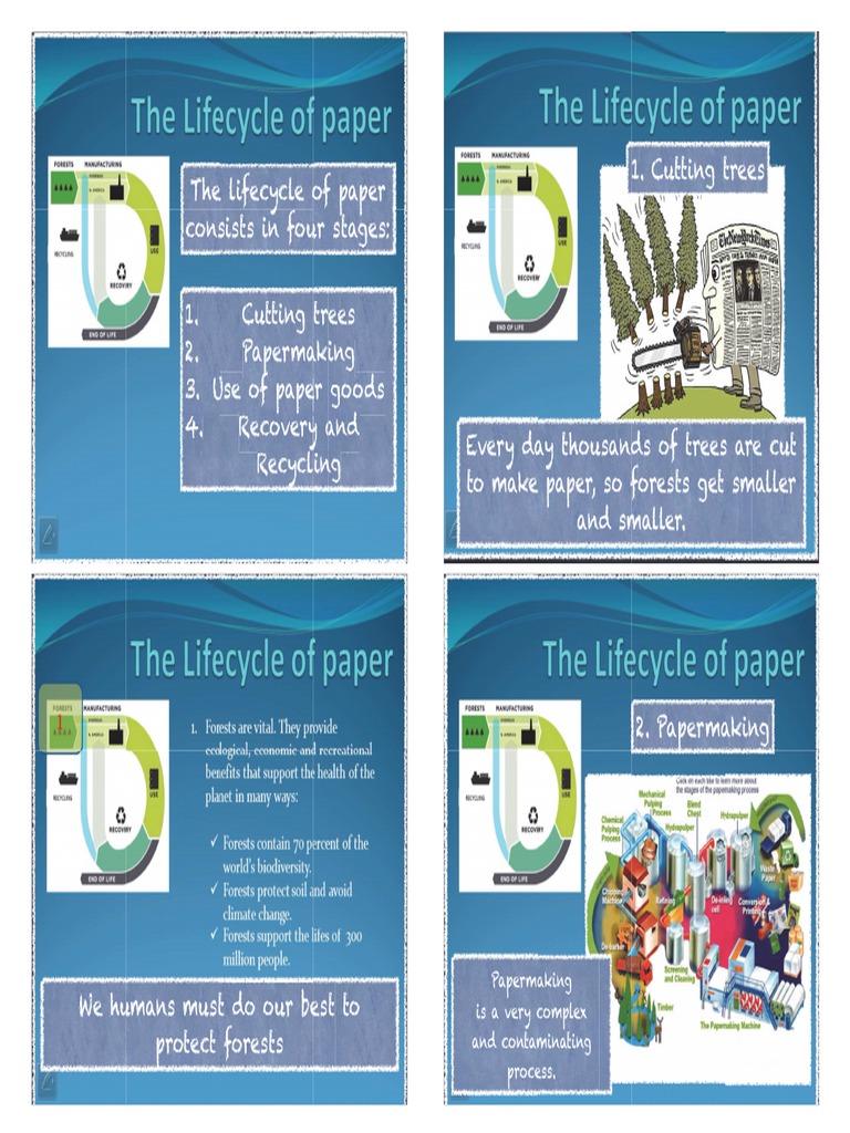 Lifecycle of Paper: From Trees to Recycling | PDF