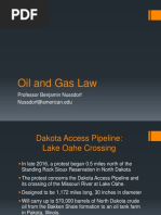 DAPL Factsheet | PDF