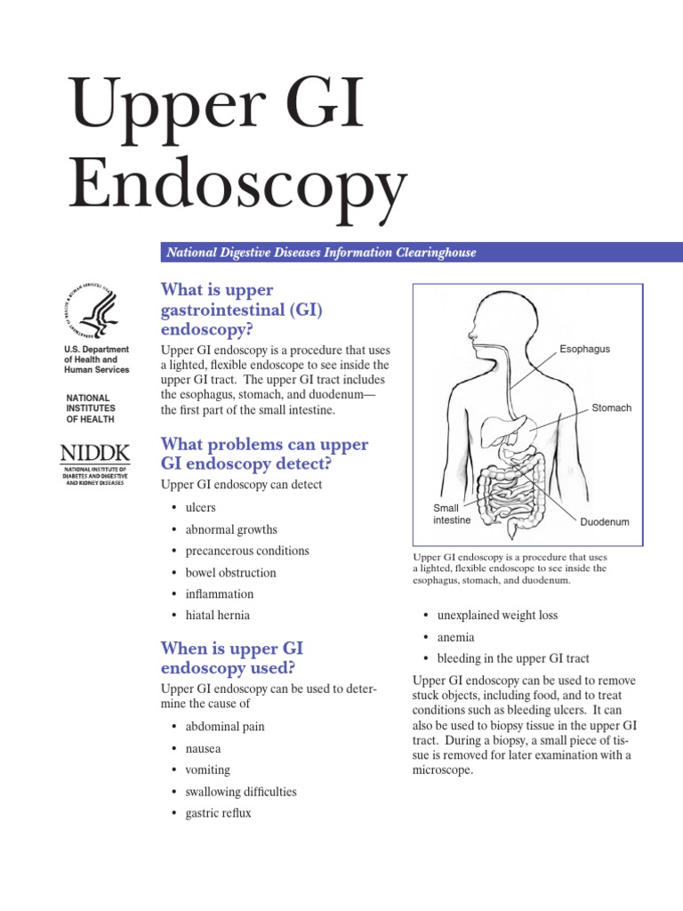 Upper Endos PDF | PDF | Gastrointestinal Tract | Endoscopy