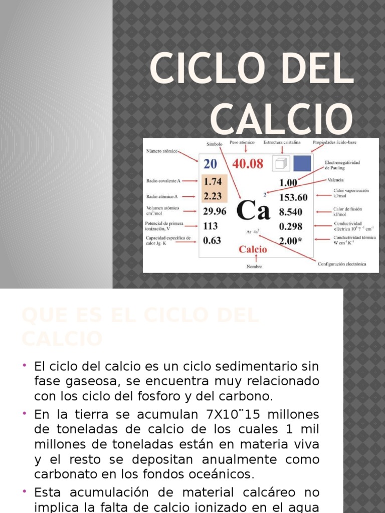 Ciclo Del Calcio | PDF | Calcio | Carbonato