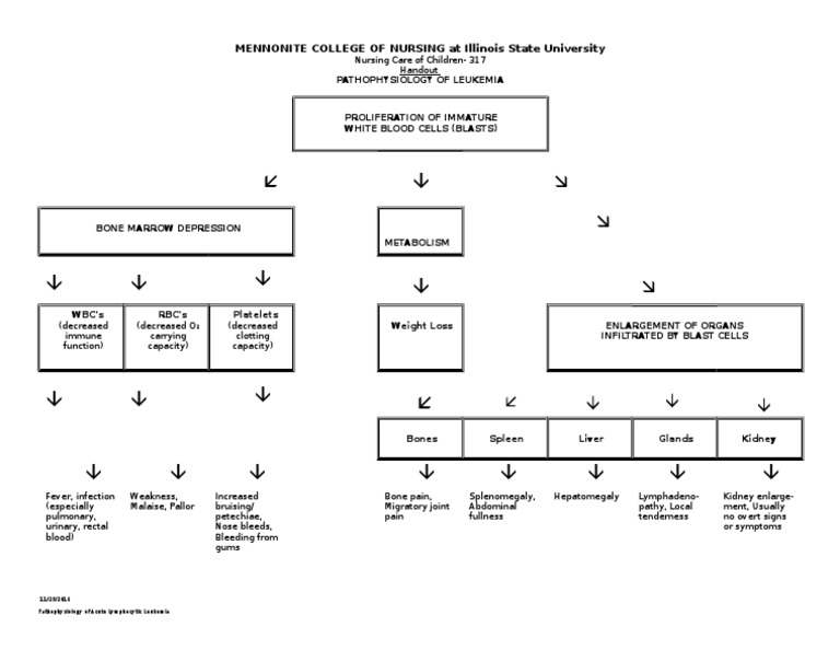 Pathophysiology of Leukemia | PDF