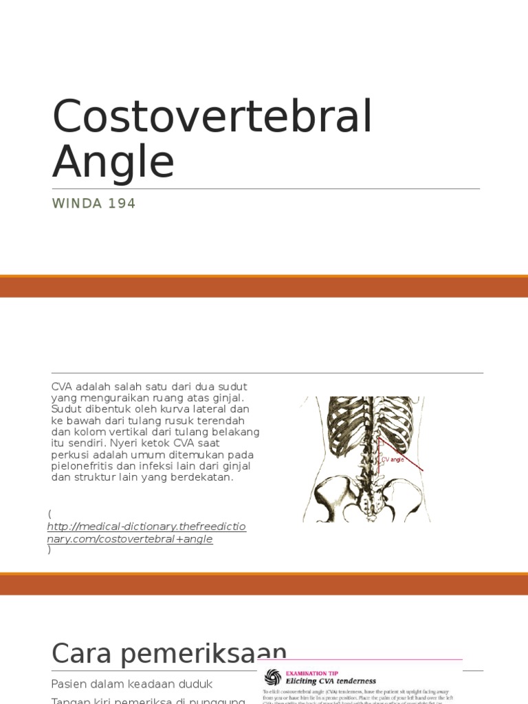 Costovertebral Angle