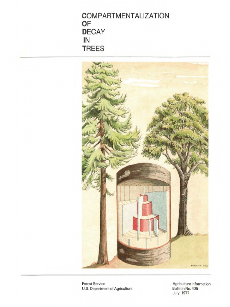 Decay of Trees, Alex Shigo | PDF | Wood | Trees