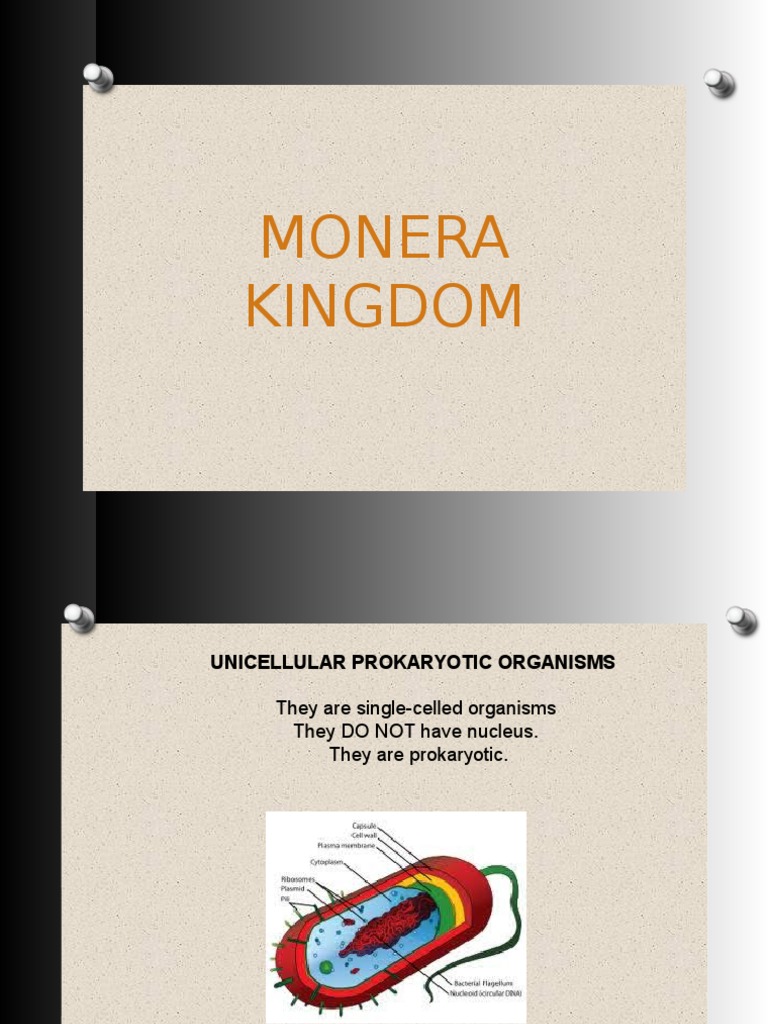 Monera, Protoctista and Fungi Kingdom | PDF | Bacteria | Cell (Biology)