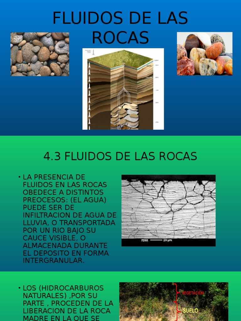 Fluidos y Transformación de Rocas | PDF | Ciencia y matemáticas