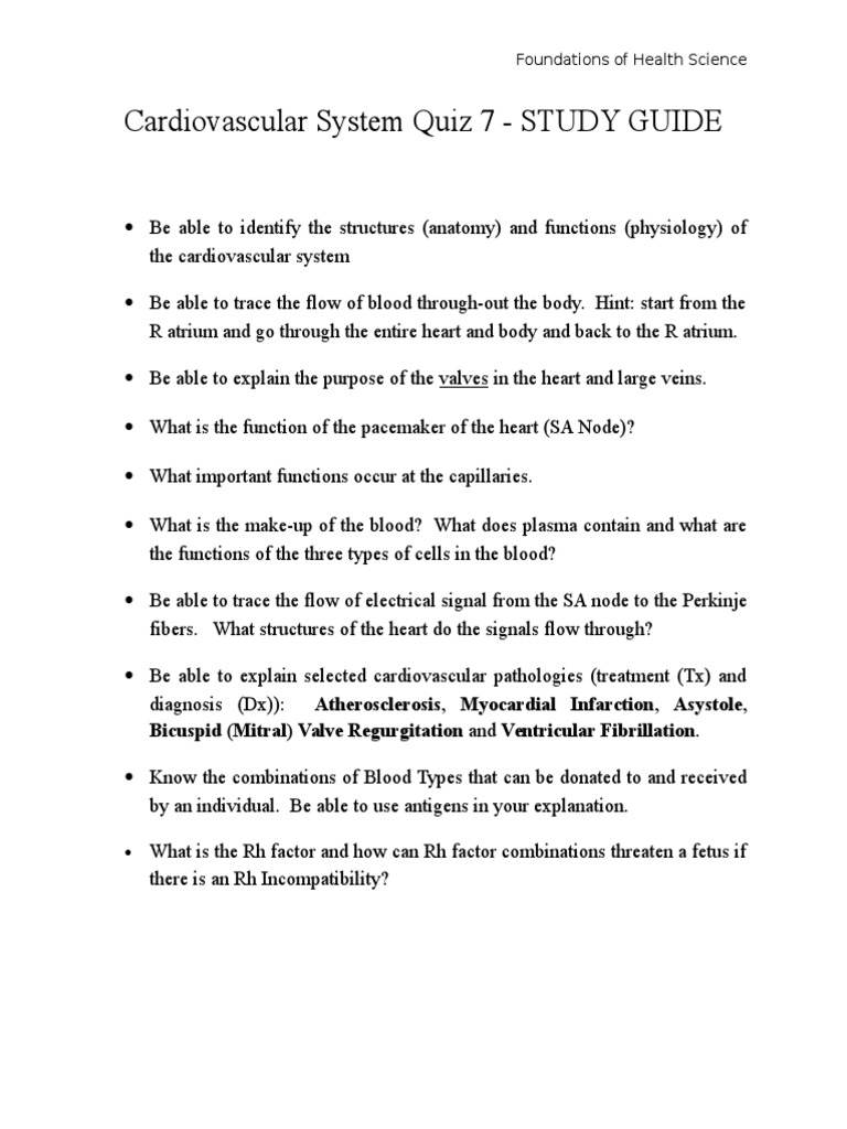 Cardiovascular System Study Guide | PDF