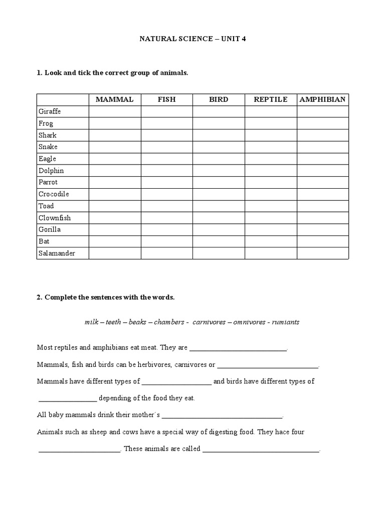Natural Science - 4º Primaria | PDF | Egg | Invertebrate