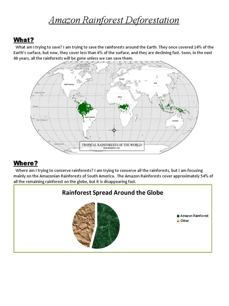 Amazon Rain Forest Deforestation | Download Free PDF | Amazon ...