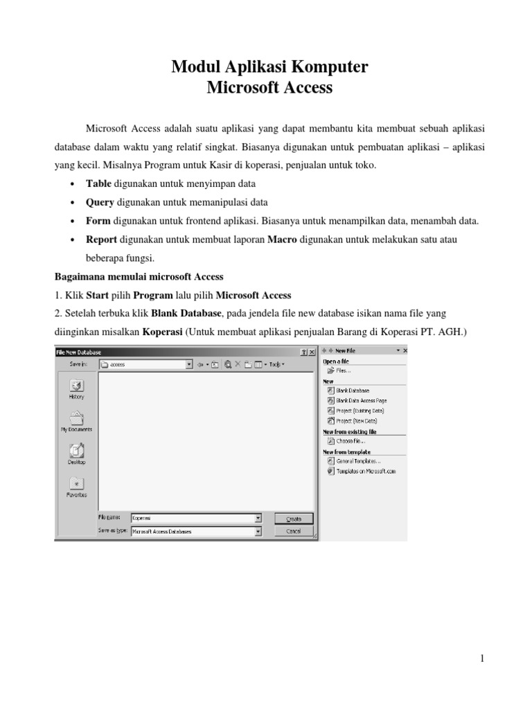 Modul Ms Access | PDF