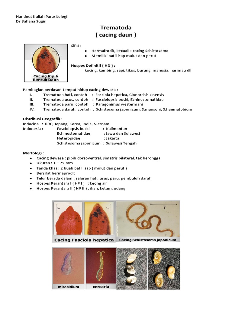 Trematoda | PDF
