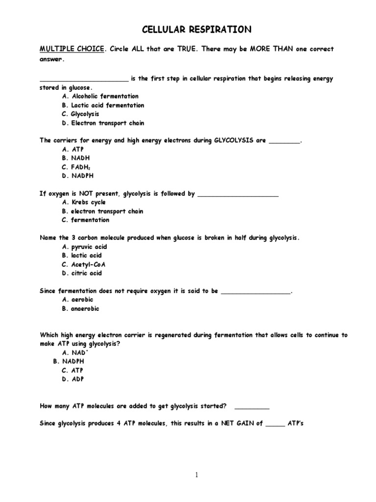 Ap Biology Cellular Respiration Worksheet Pdf Looking For An