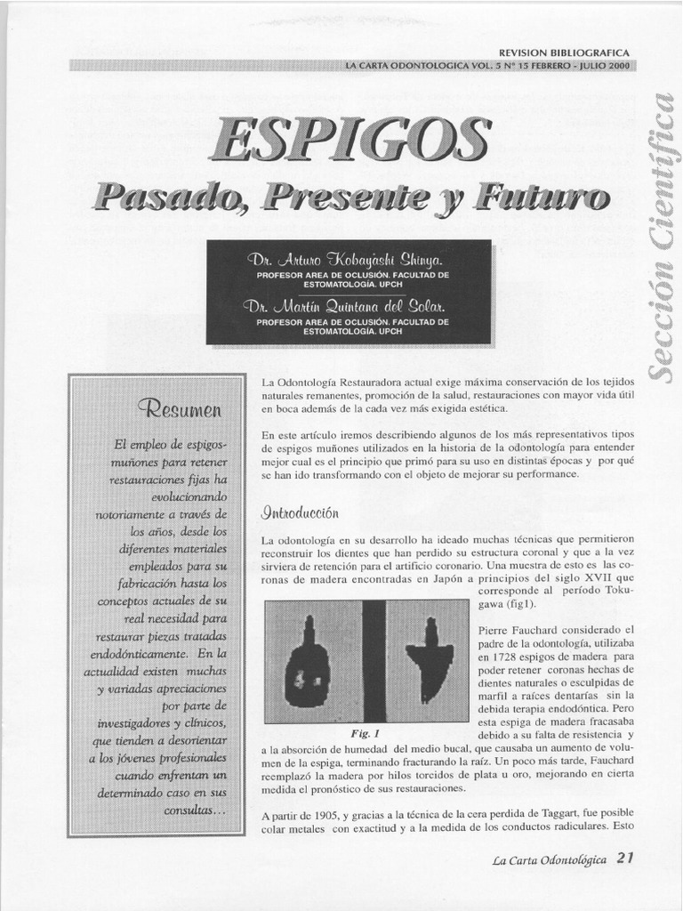 Espigos. Pasado, Presente y Futuro PDF | PDF