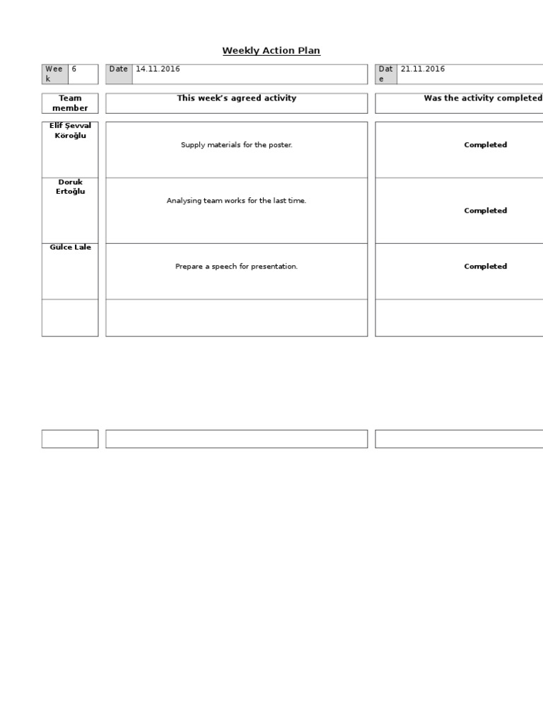 Weekly Action Plan | PDF