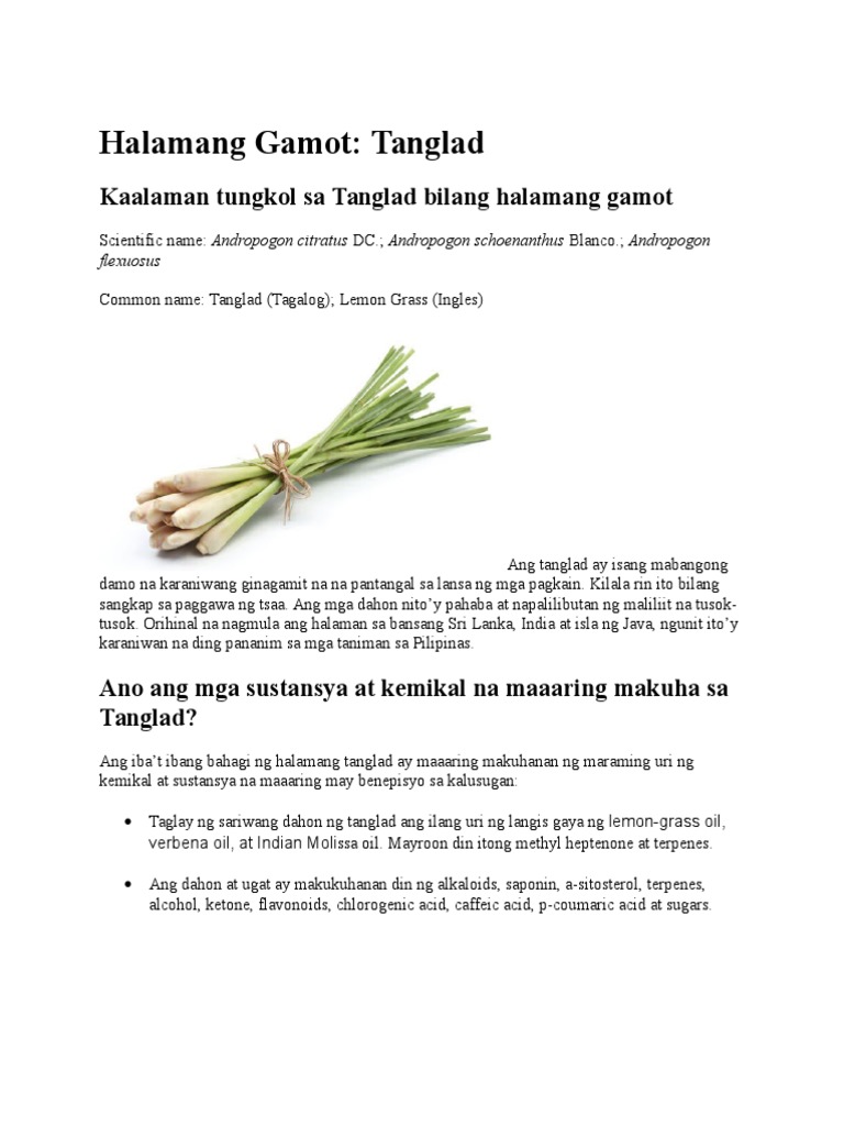 Halamang Gamot | PDF