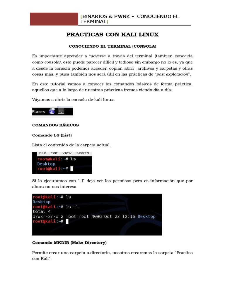 Comandos Básicos de Kali Linux | PDF