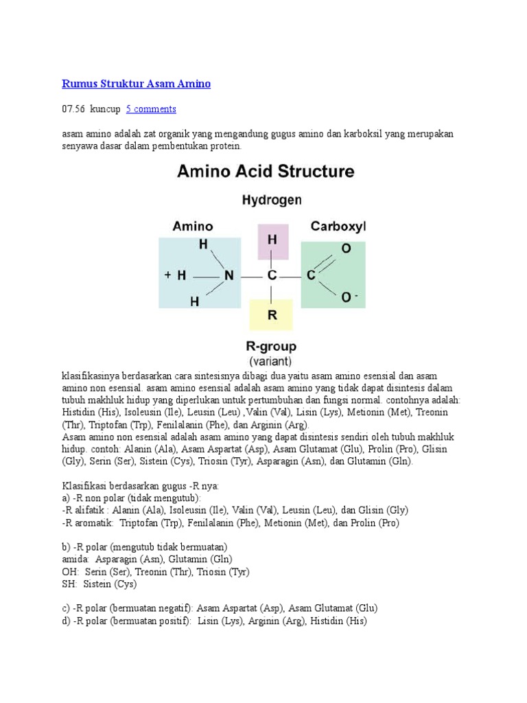 Rumus Struktur Asam Amino | PDF
