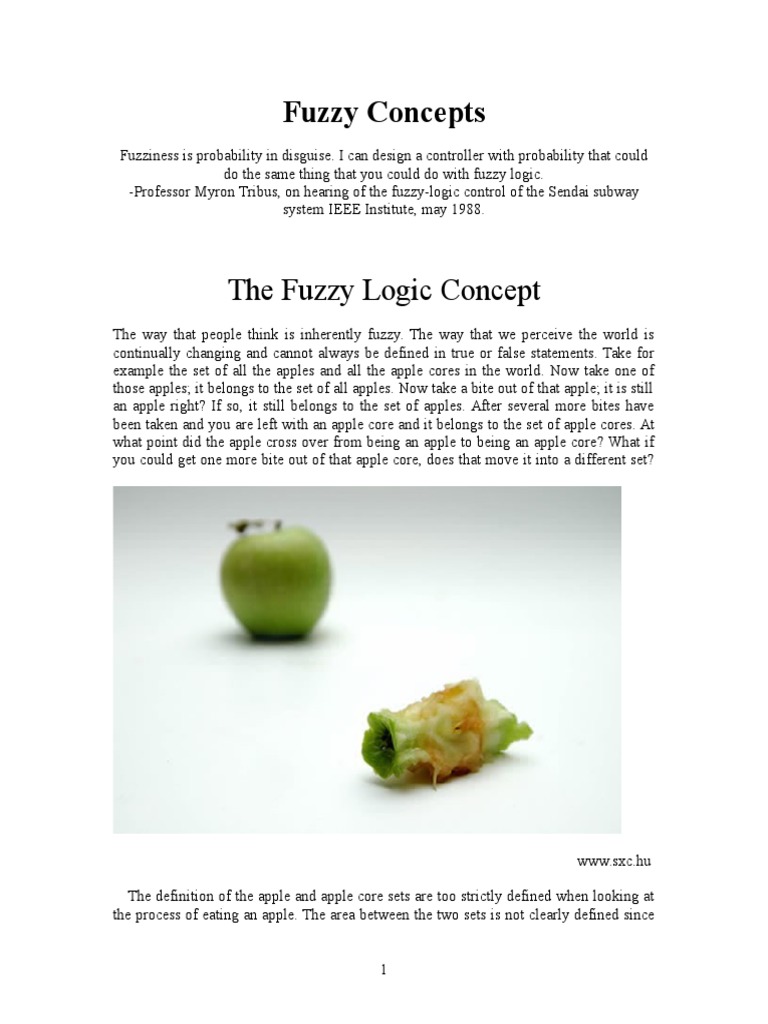 Fuzzy Logic Concepts Explained | PDF | Fuzzy Logic | Function (Mathematics)