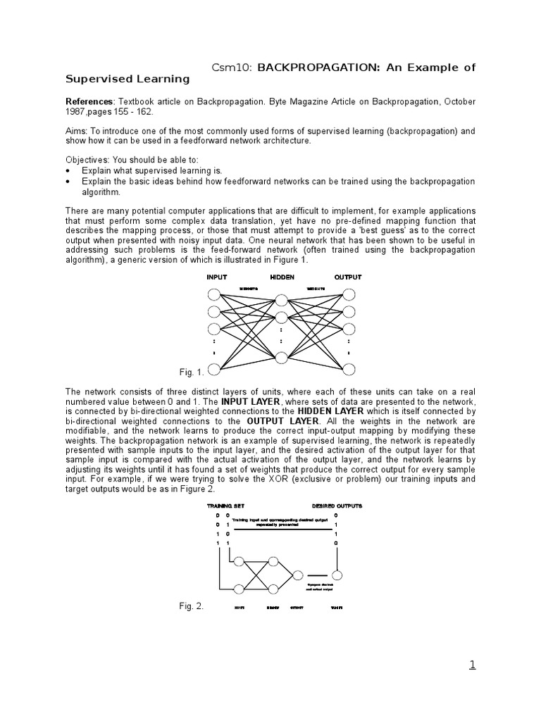 Supervised Learning: Csm10: BACKPROPAGATION: An Example of | PDF ...