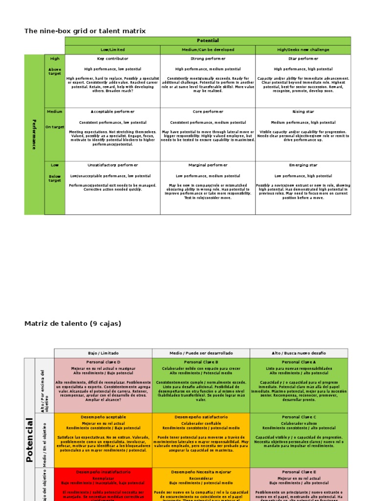 Nine-Box Talent Matrix Overview | PDF | Nature