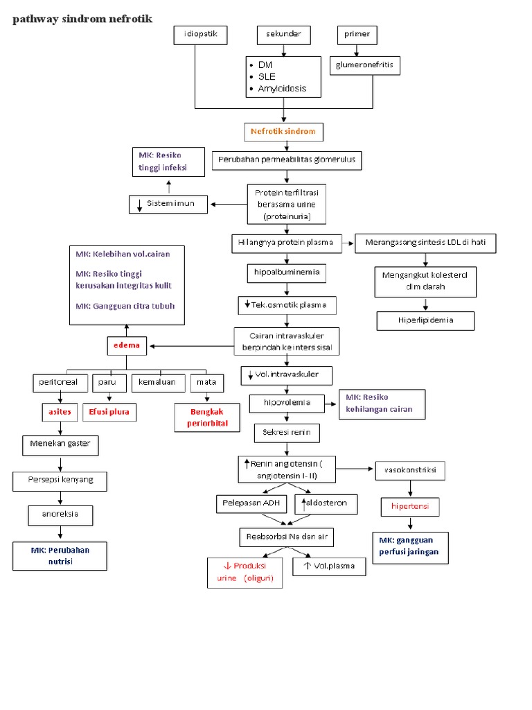 Pathway Sindrom Nefrotik | PDF