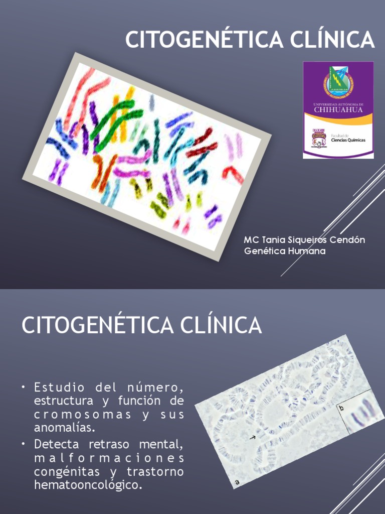Citogenetica Clinica PDF | PDF | Cromosoma | Citogenética