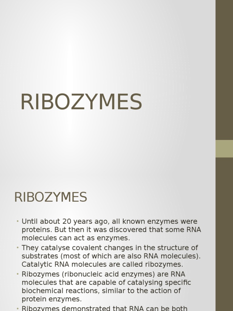 RIBOZYMES | PDF | Rna | Intron