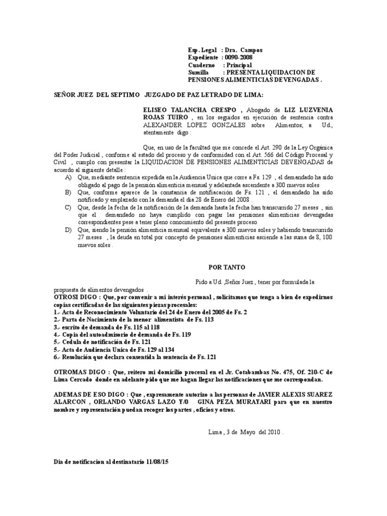 Escrito de Liquidación de Pensiones Devengadas | PDF | Pensión alimenticia | Demanda judicial