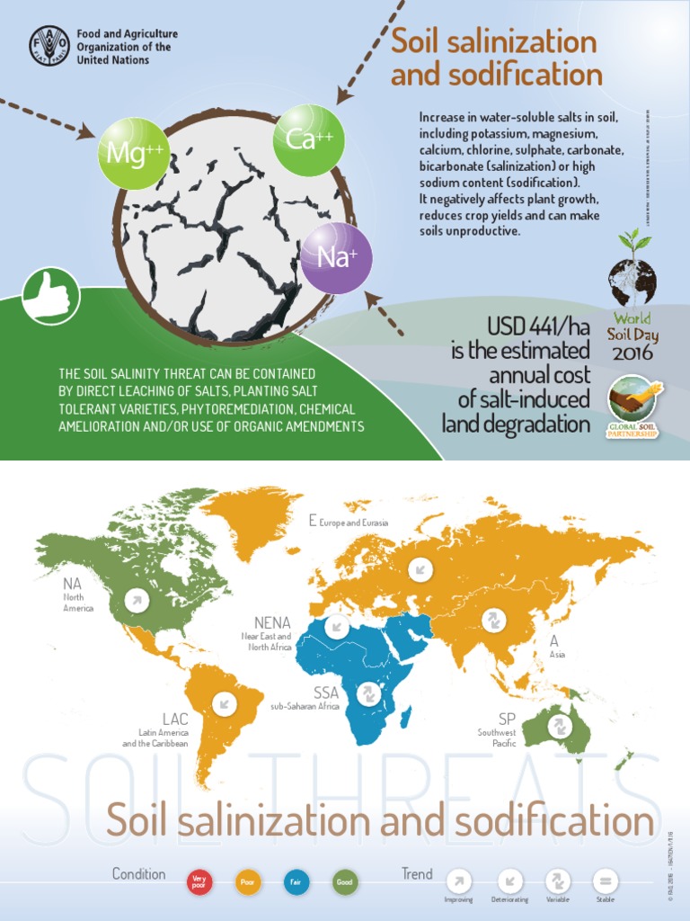 Ca MG: Soil Salinization and Sodification | PDF
