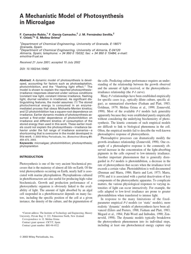Photosynthesis PDF | PDF | Photosynthesis | Primary Production