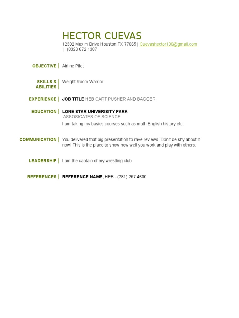 Hector Cuevas Resume | PDF