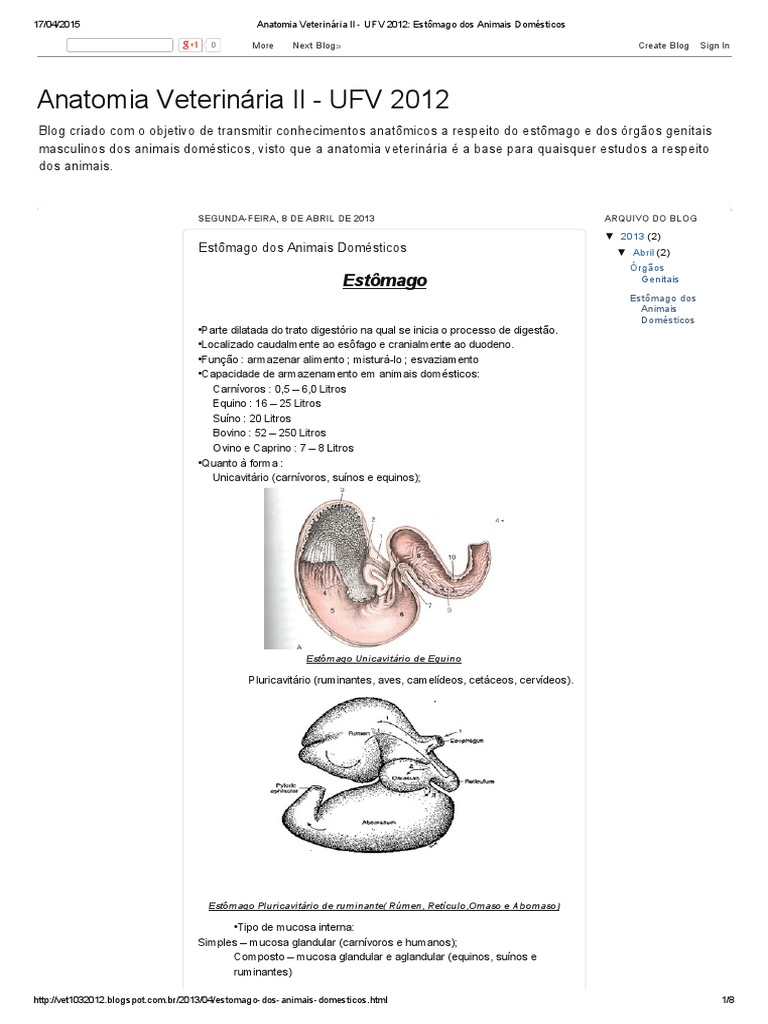 Anatomia Veterinária II - UFV 2012 - Estômago Dos Animais Domésticos ...