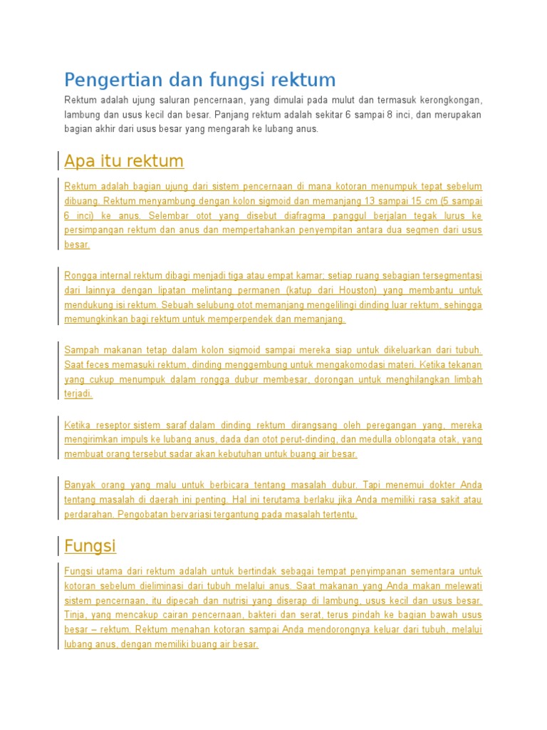Pengertian Dan Fungsi Rektum | PDF