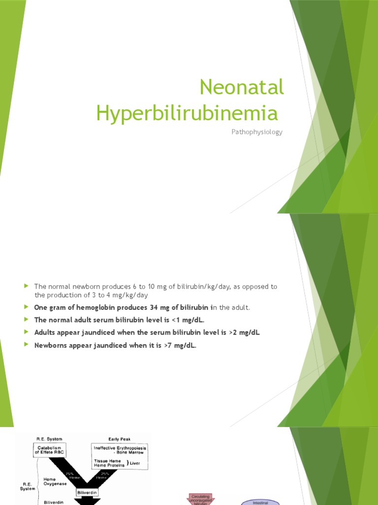 Neonatal Hyperbilirubinemia PATHOPHYSIOLOGY | Physiology | Science
